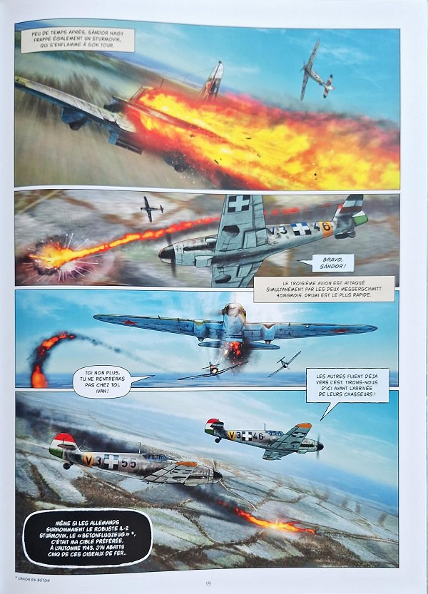 The doomed puma. – SambaBD